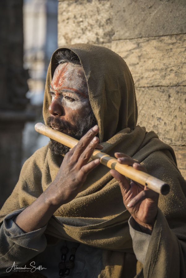 Portfolio | Gaia Images - Alexandre SATTLER